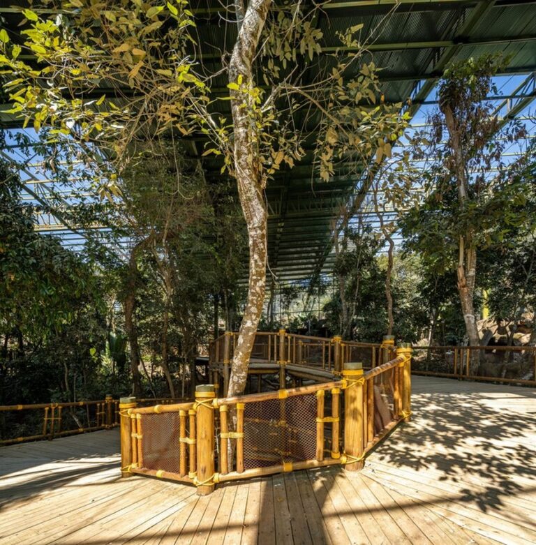 Enhancing Animal Well-being: The Vivarium at Animália Biopark - Archzest